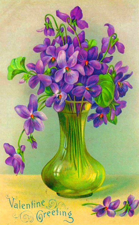 VIOLETTE............................ - les reves d'ozymandias