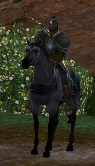 Liste chevaux et description